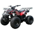 Tao Tao T Force 125 cc ATV Reverse and Big 19 18 Tires Utility Model ...