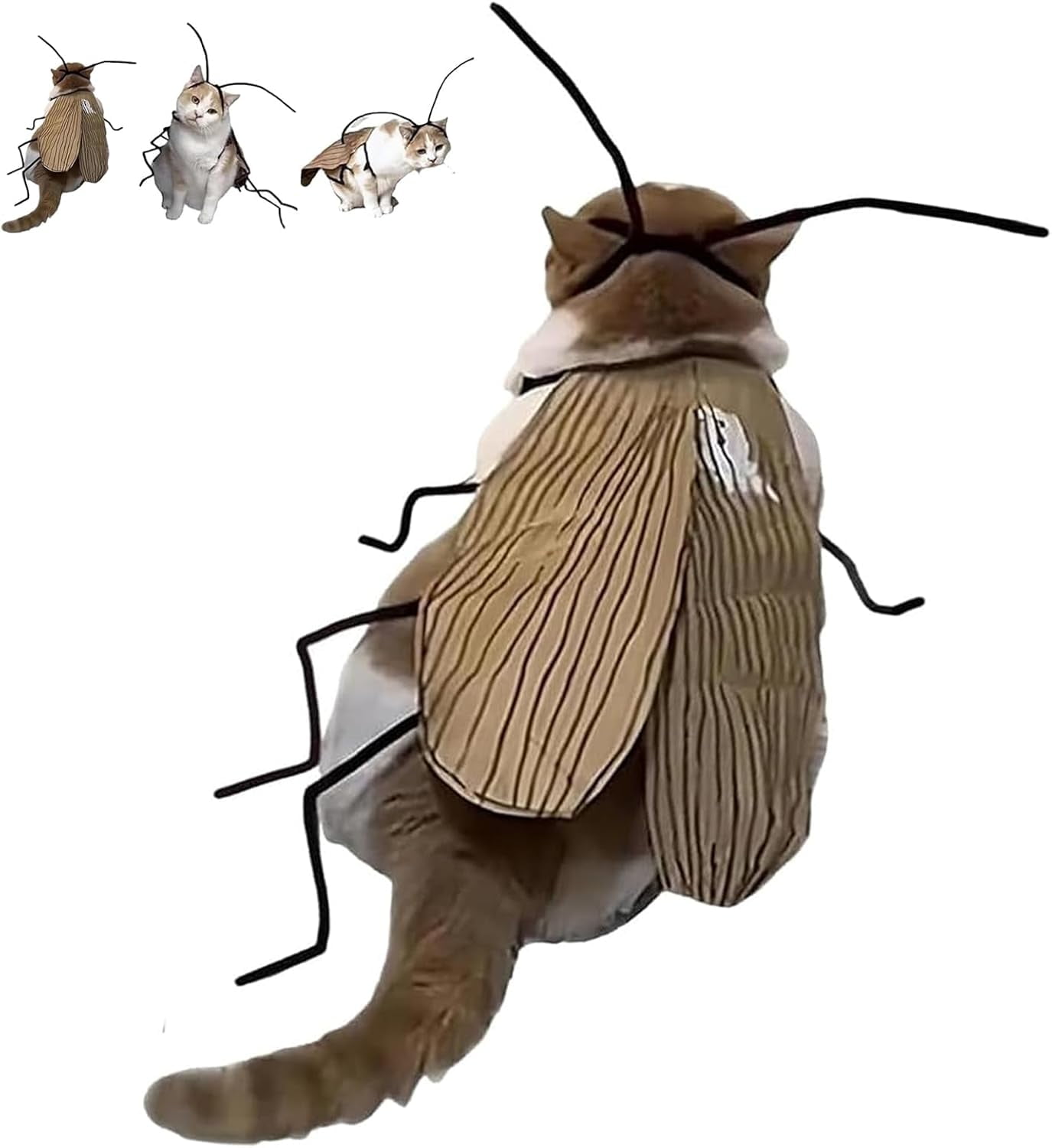 TaoLeHui Roach Costume for Cats - Transform Your Pet with Funny Roach Wings & Antenna for ...