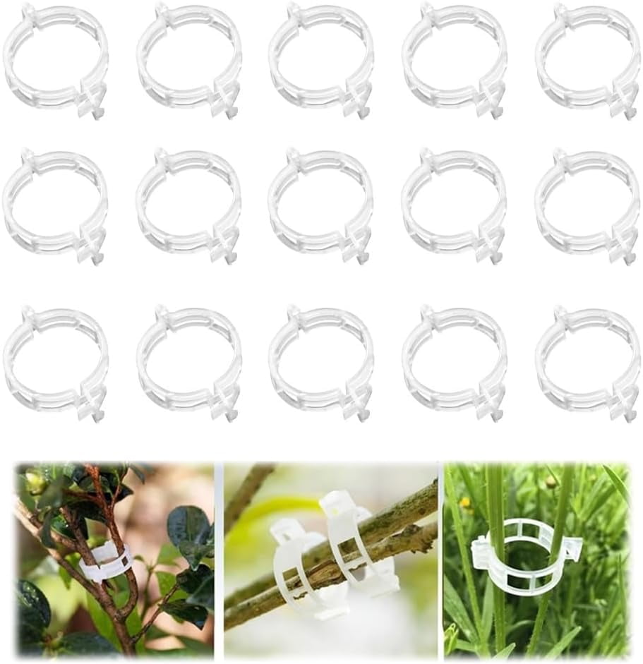 TaoLeHui Secured Plastic Plant Clip, 2025 New Plant Support Clips ...