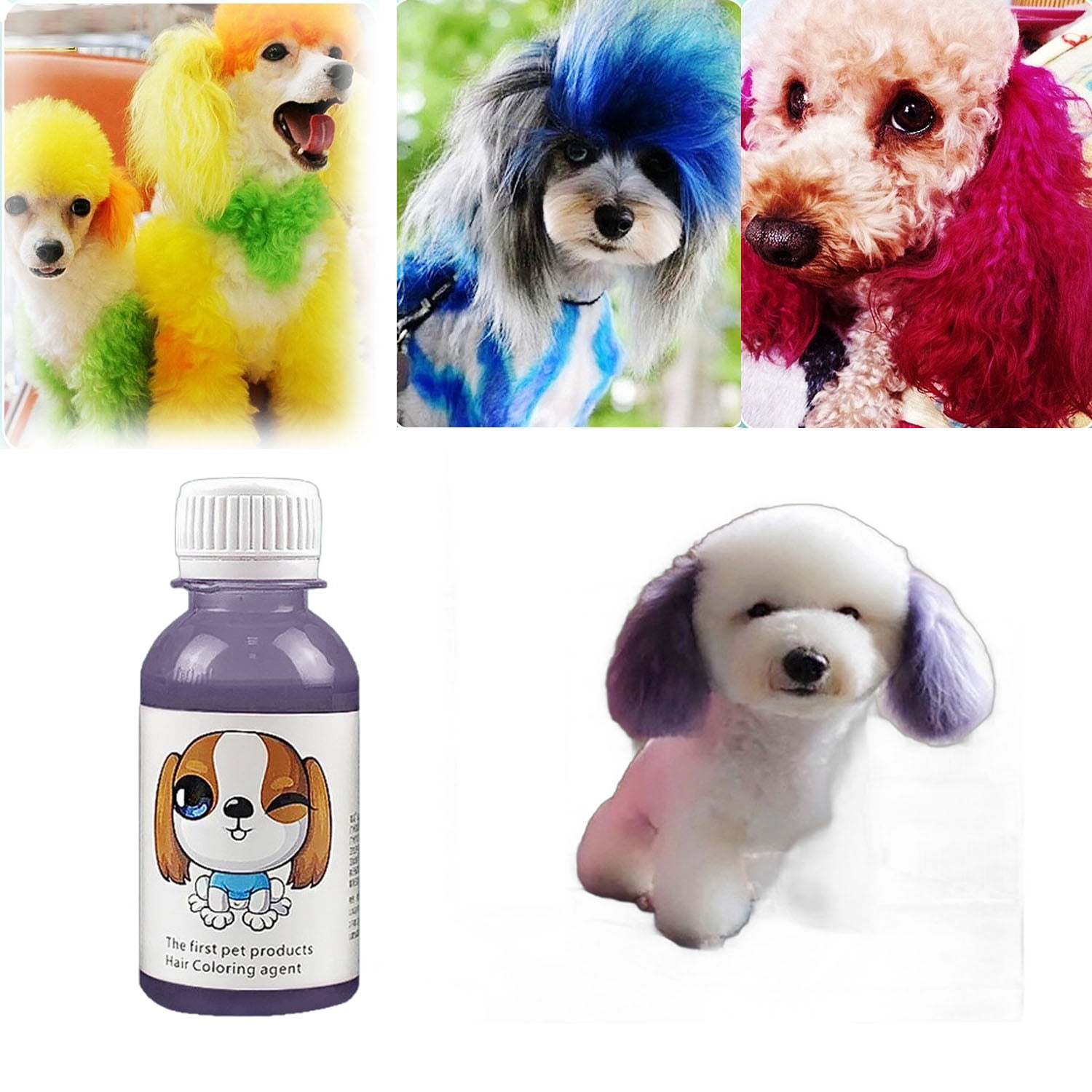TaoLeHui Semi-Permanent Dog Hair Dye Kit - Lasts 2 Months, DIY Pet Hair ...