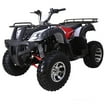Tao Motor Bull200s 169cc Gas 4-Stroke Engine Adult ATV,Red - Walmart.com