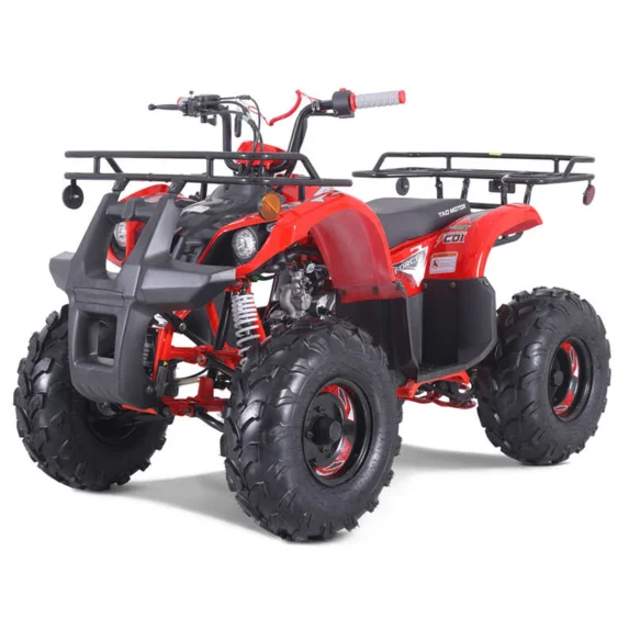 TaoTao T-Force 110cc ATV Fully Automatic All Terrain Vehicle - Walmart.com