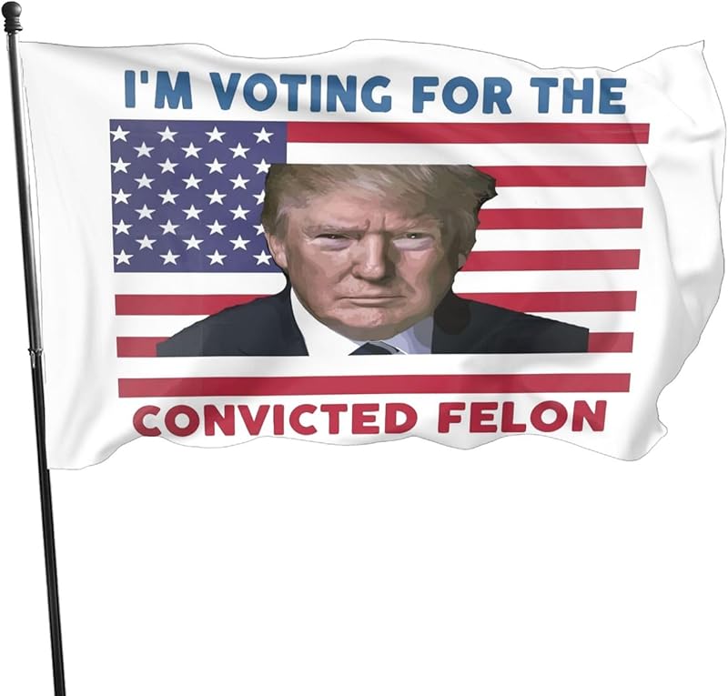Taoarlpo Voting For The Convicted Felon Flags 3×5 FT Outdoor Gifts for ...
