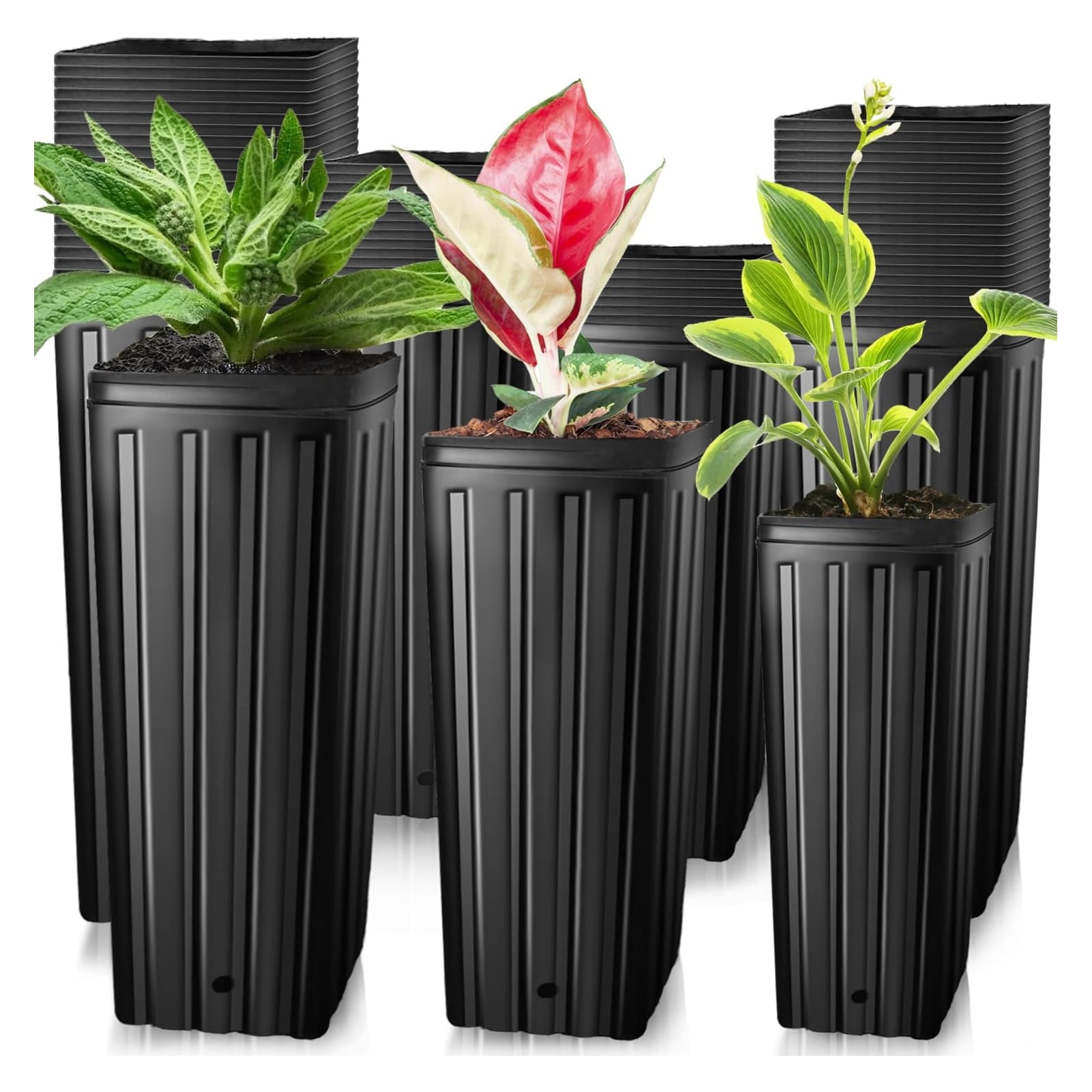 Taolixe 10Pcs Deep Plant Nursery Pots with Drainage Holes High Survival ...
