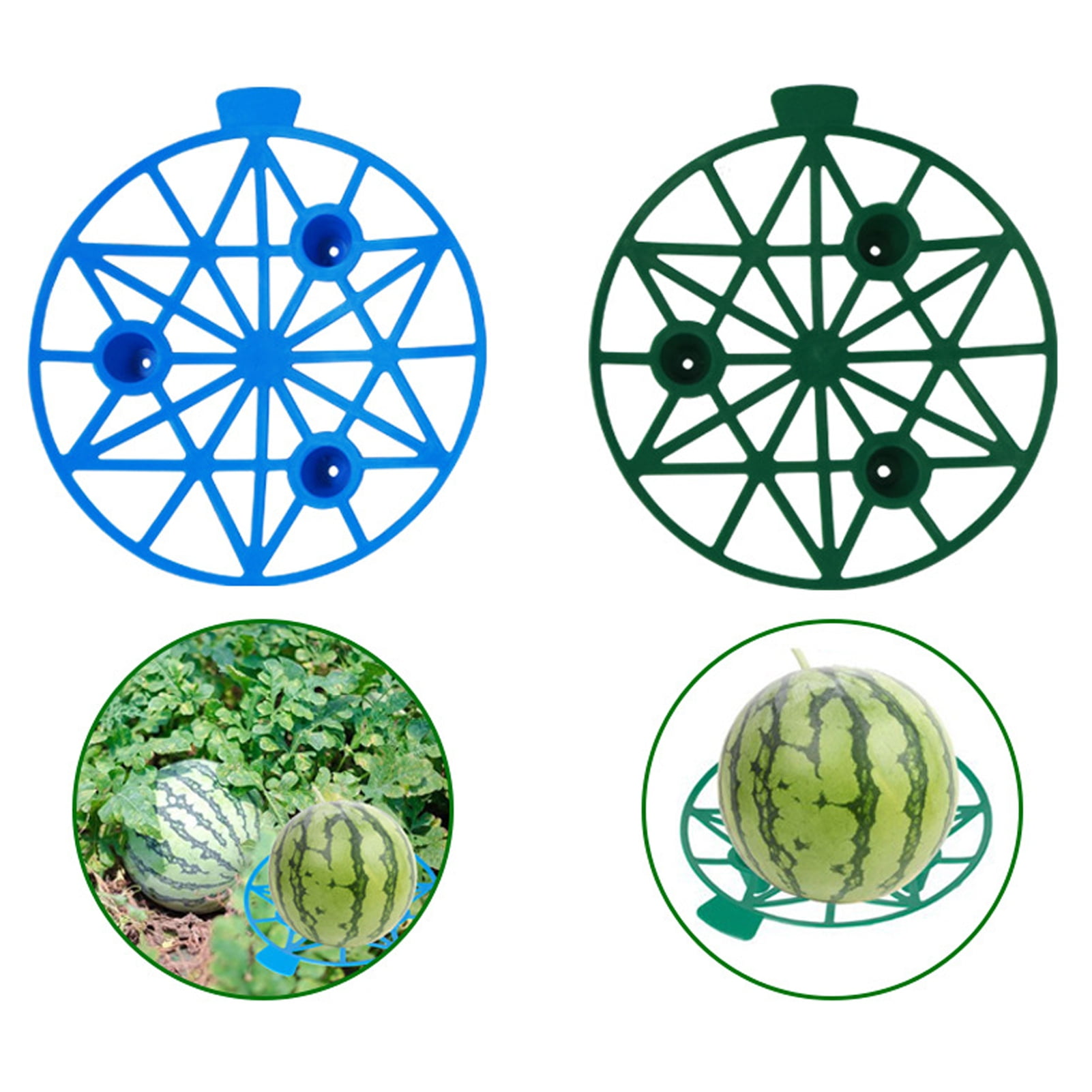 Taolixe 12 Pcs Melon Cradle Reusable Pumpkin Stand Watermelon Support Holder Melon Tray with ...