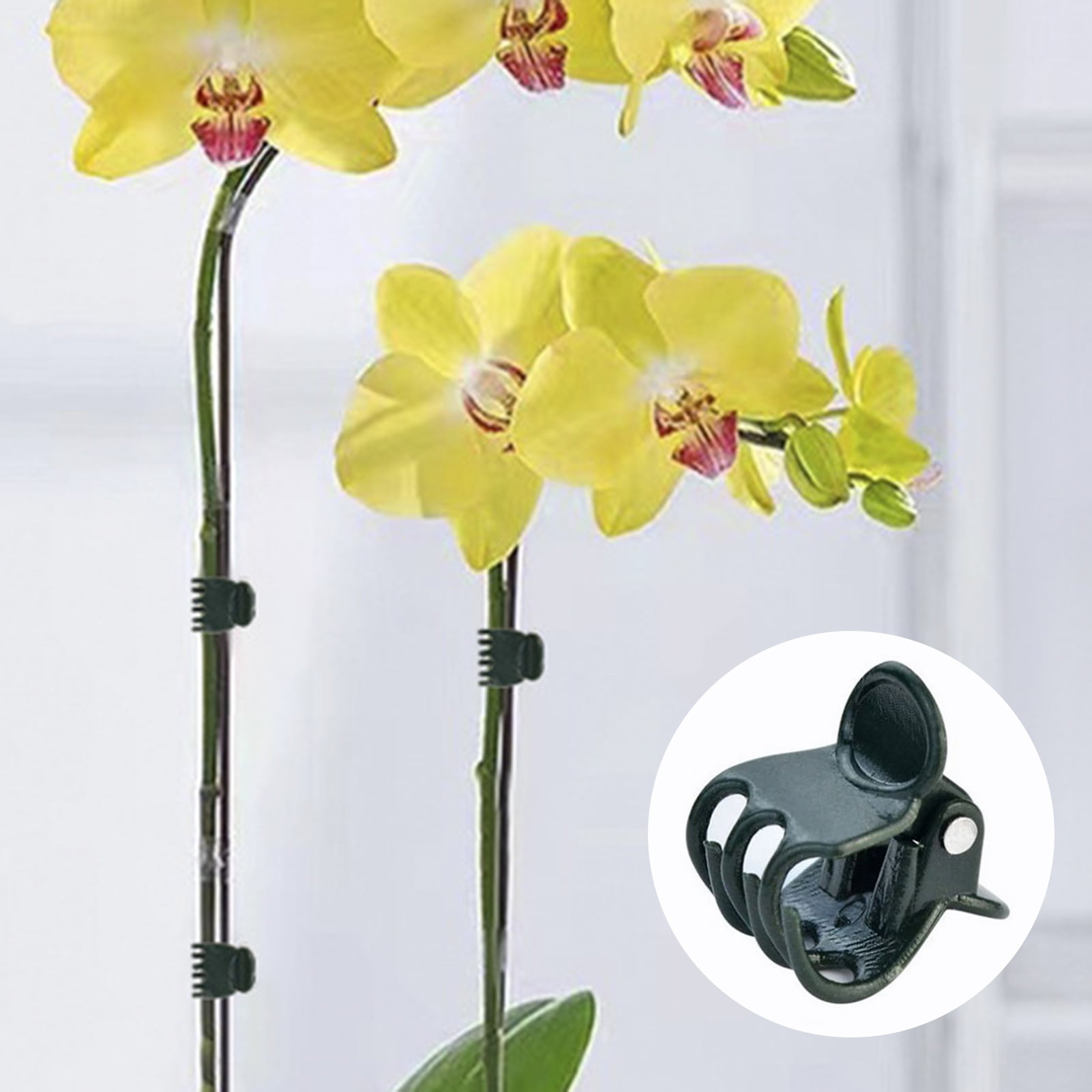 Taolixe 50/100 Pcs Plant Clips Reusable Orchid Clips Climbing Plants ...