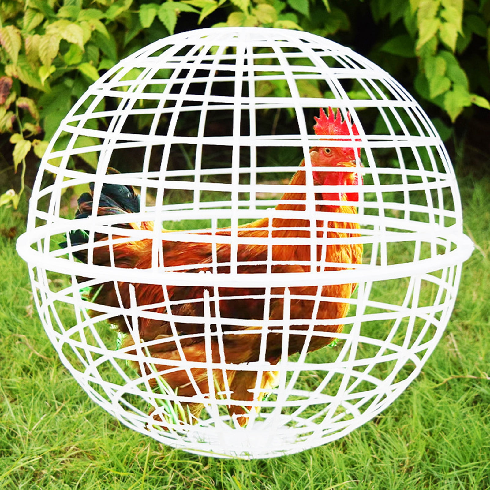 Taolixe Ball-Shaped Chicken Cage Outdoor Spherical Chicken Coop Poultry ...