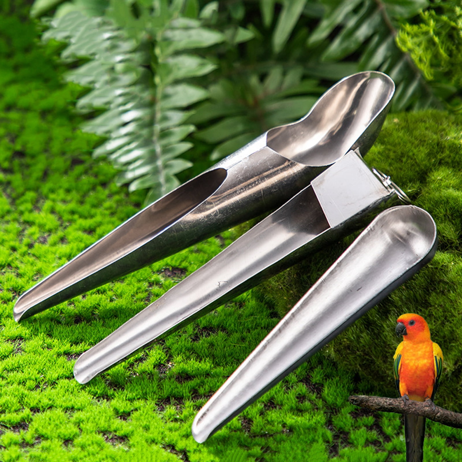 Taolixe Birdseed Shovel with Dam-board Easy to Use Feeds Stainless ...