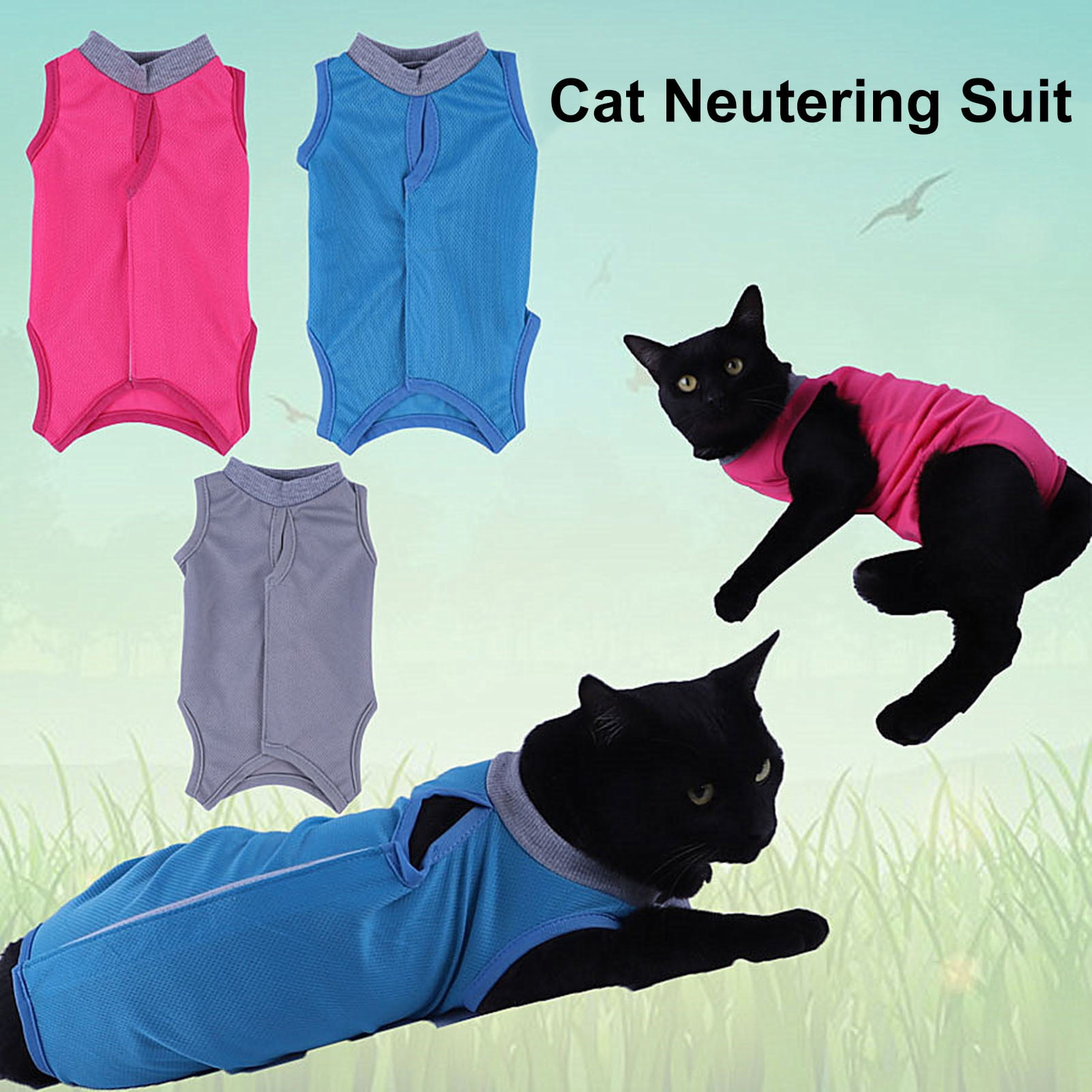 Taolixe Cat Neutering Suit Comfortable Cat Recovery Suit Adjustable ...