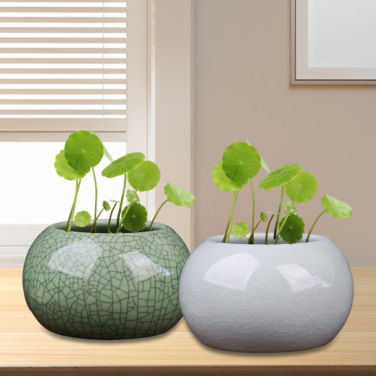 Taolixe Ceramic Bowl Lotus Planter Round Mini Flowerpot Glazed Bonsai ...