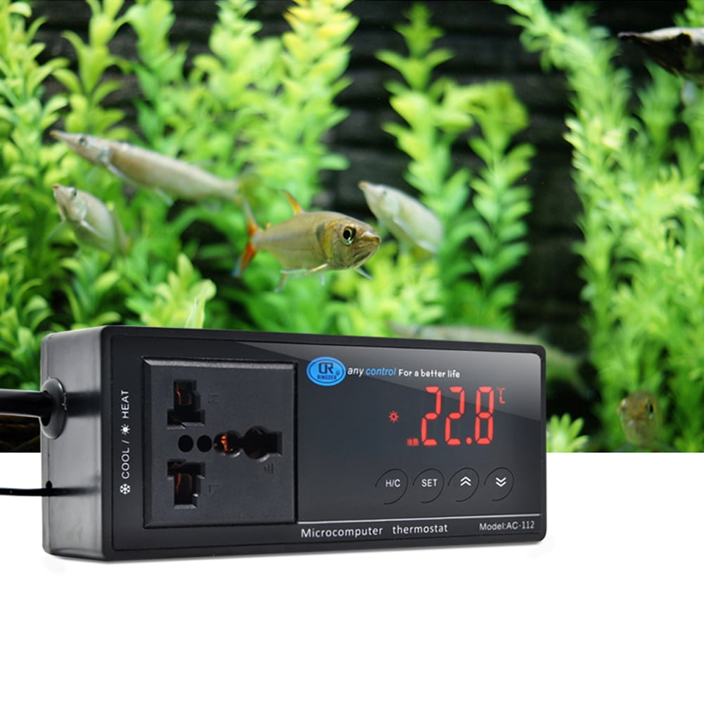 Taolixe Digital LED Temperature Controller Thermostat for Reptile ...