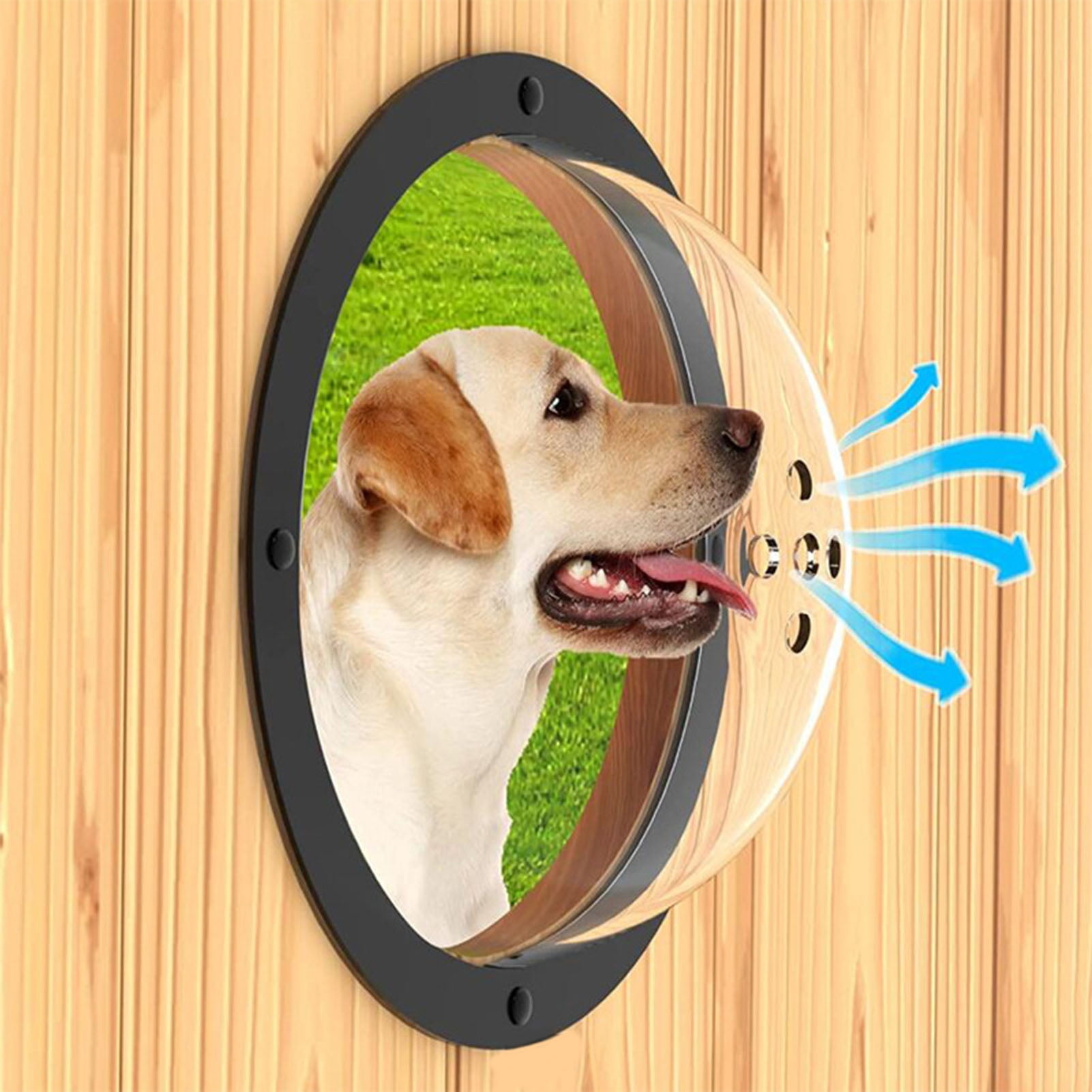 Taolixe Durable Acrylic Fence Window Upgrade Pet's View Transparent ...