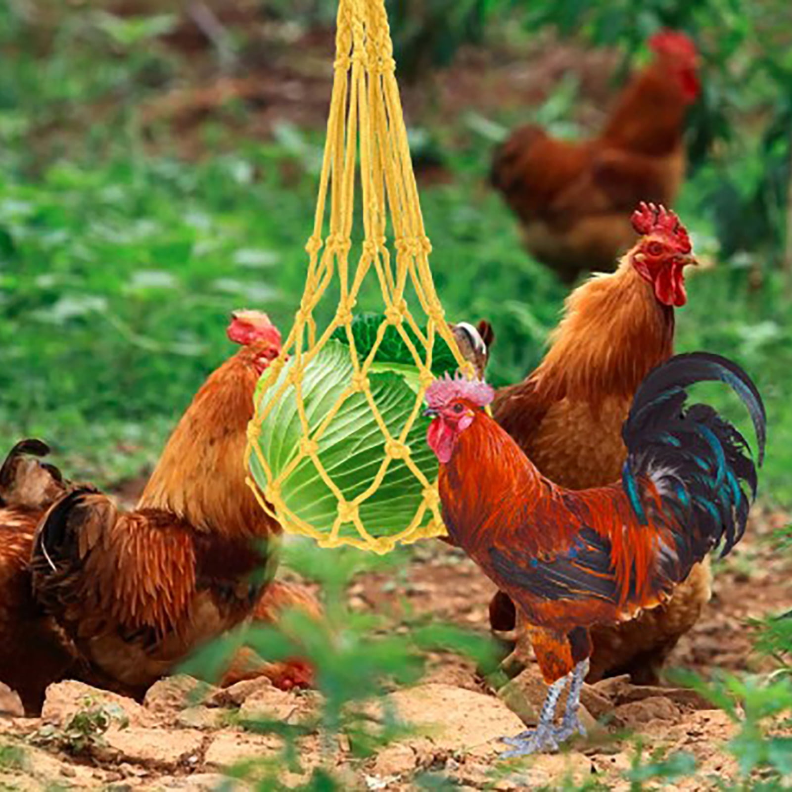 Taolixe Feeding Net Hanging Design Bite Resistant Metal Hook Chicken ...