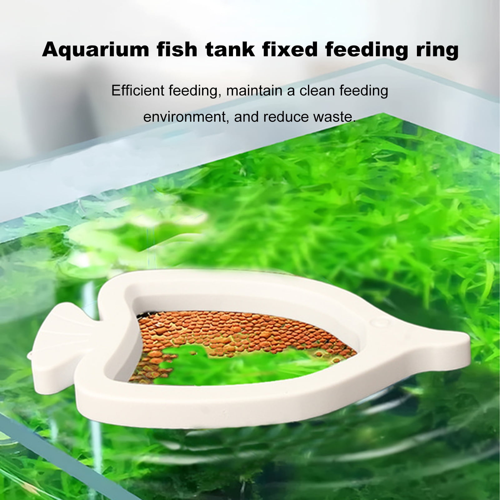 Taolixe Fish Feeding Ring Floating Feeder Aquarium Plant Rings Duckweed ...