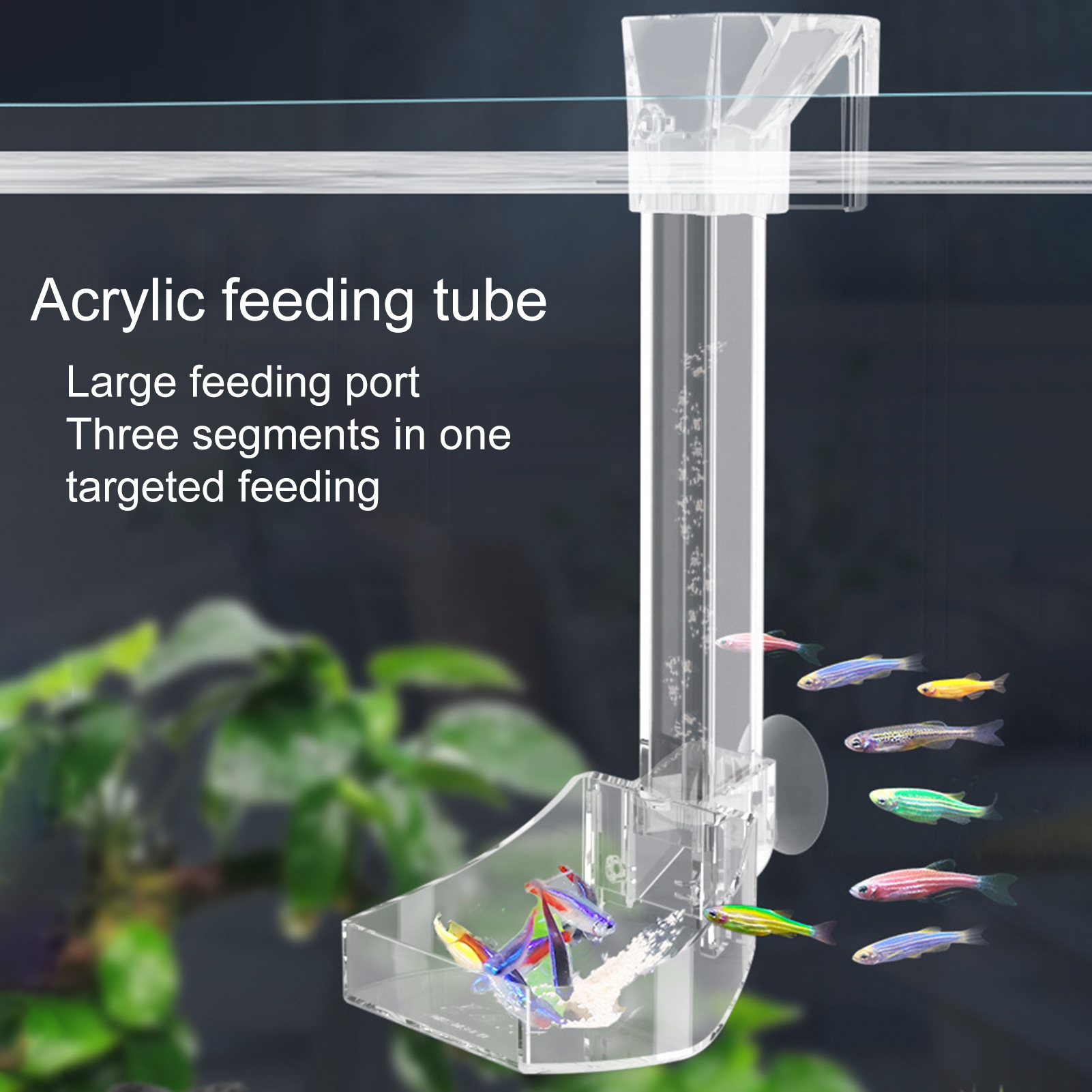 Taolixe Fish Tank Feeding Tube Transparent Acrylic Hook Suction Cup ...