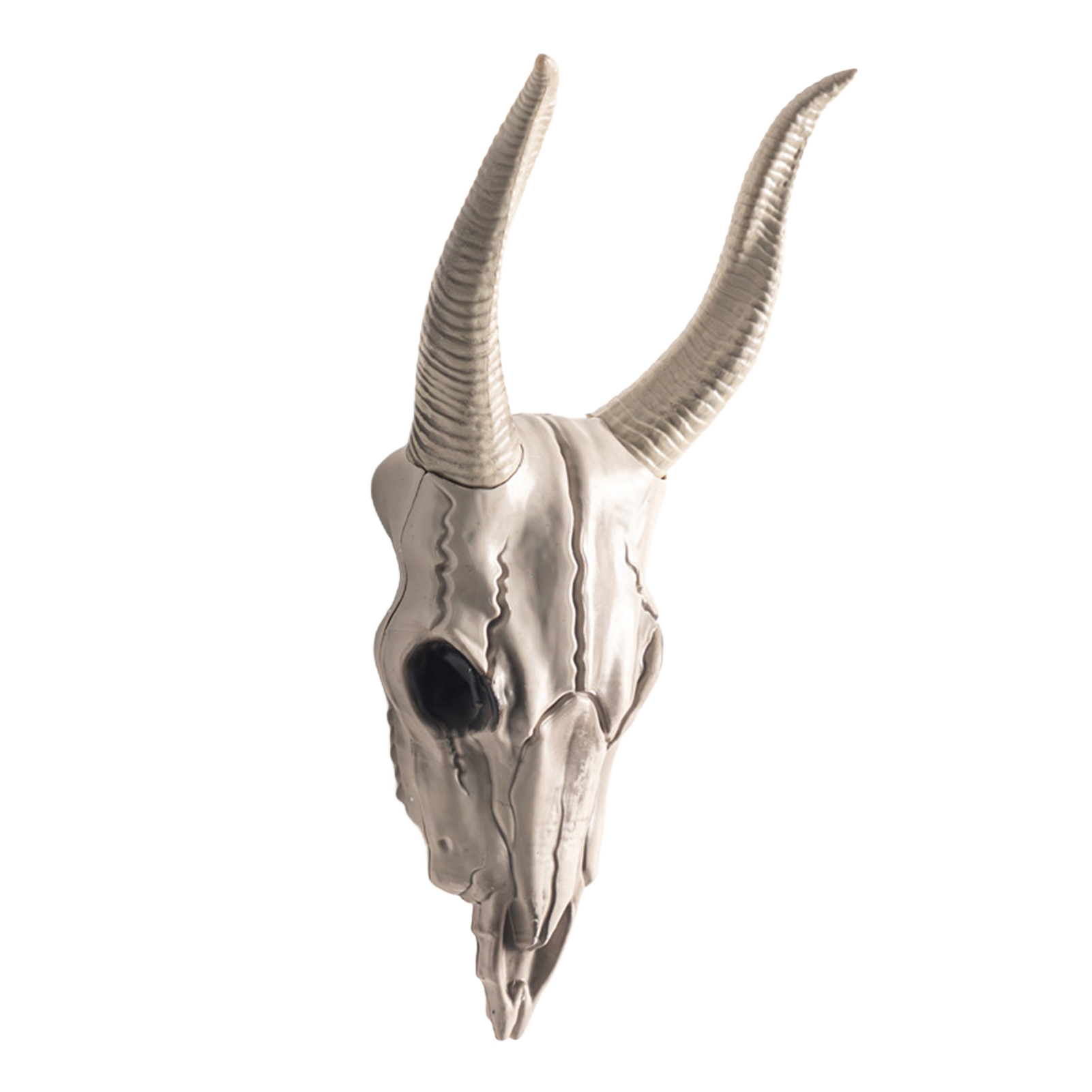 Taolixe Halloween Skeleton Animal Decoration Creepy Cat/Dog/Bird/Rat ...