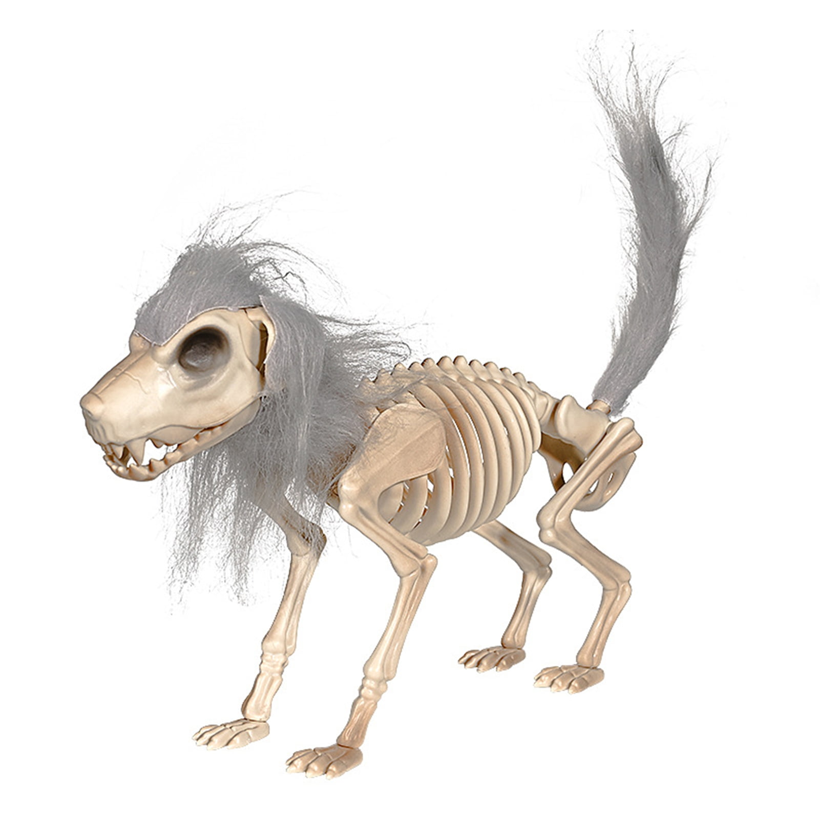 Taolixe Halloween Skeleton Dog Decoration Posable Standing Dog Skeleton ...