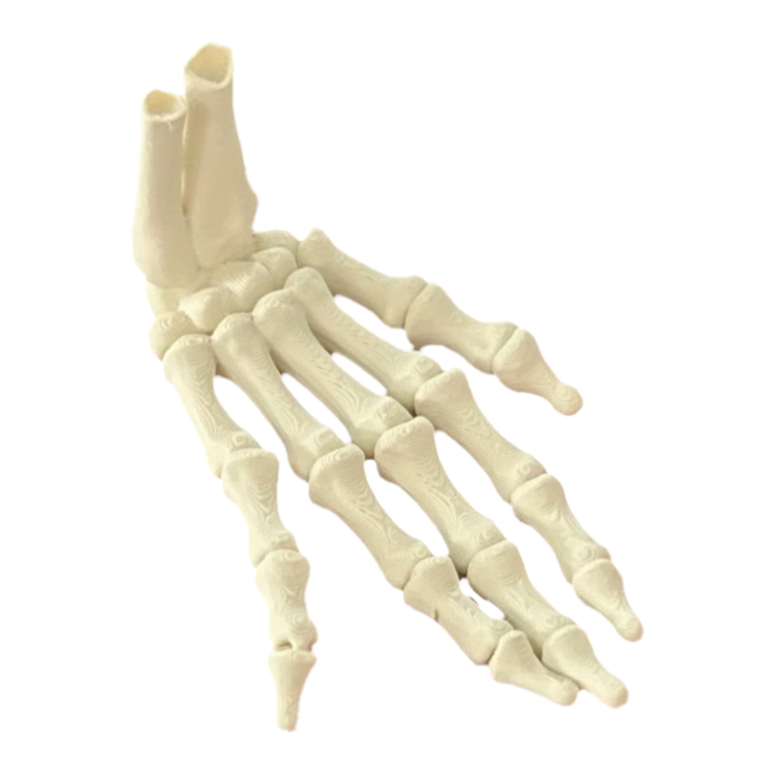Taolixe Halloween Skeleton Hand 3D Printed Plastic Human Hand Bone ...