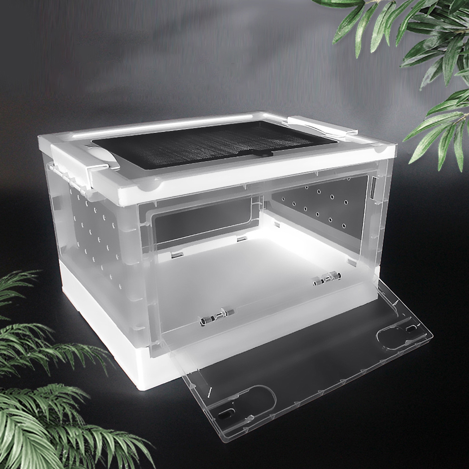 Taolixe Pet Breeding Tank with Vents Large Space Transparent ...