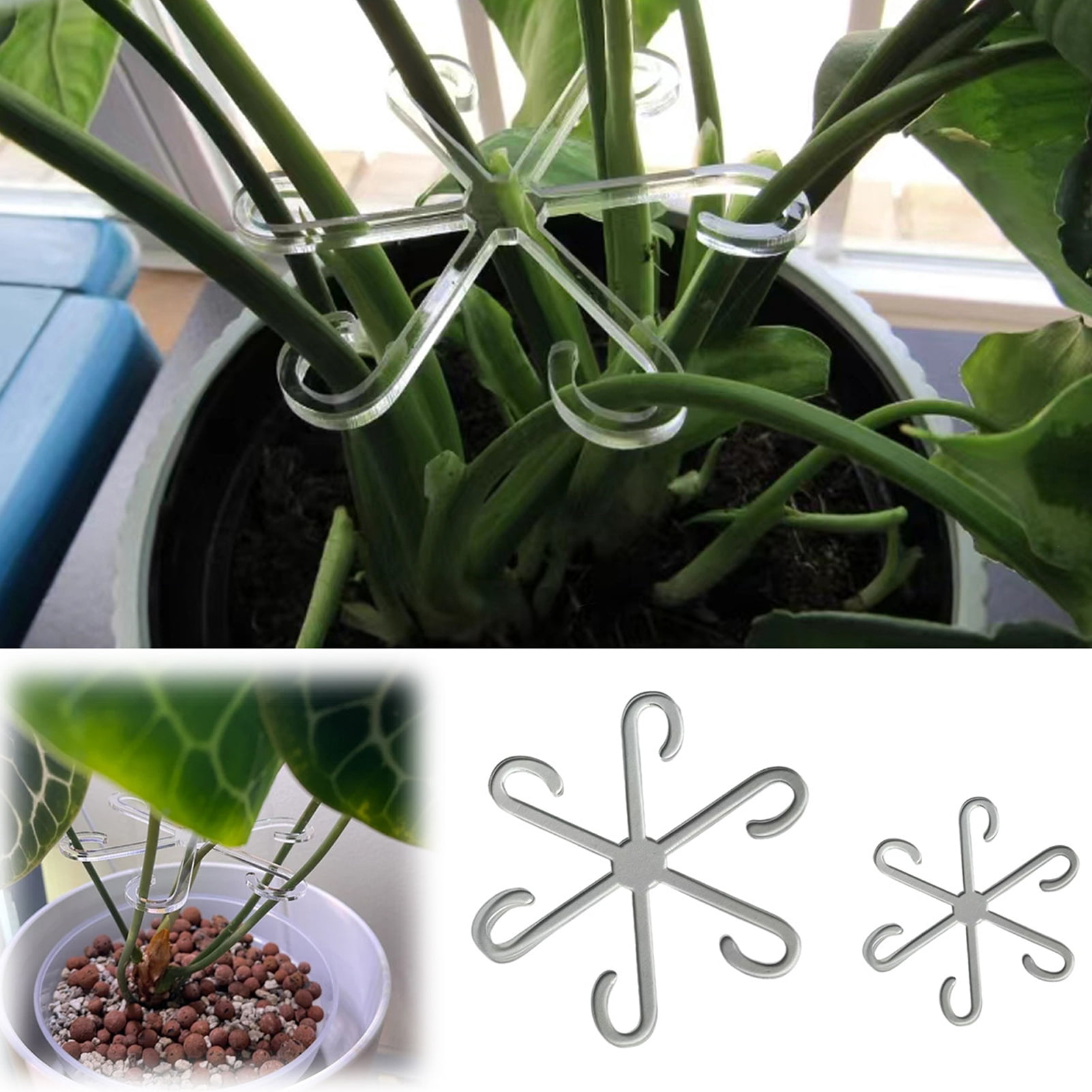 Taolixe Plant Stem Support Hooks Acrylic Plant Vine Holders Waterproof ...