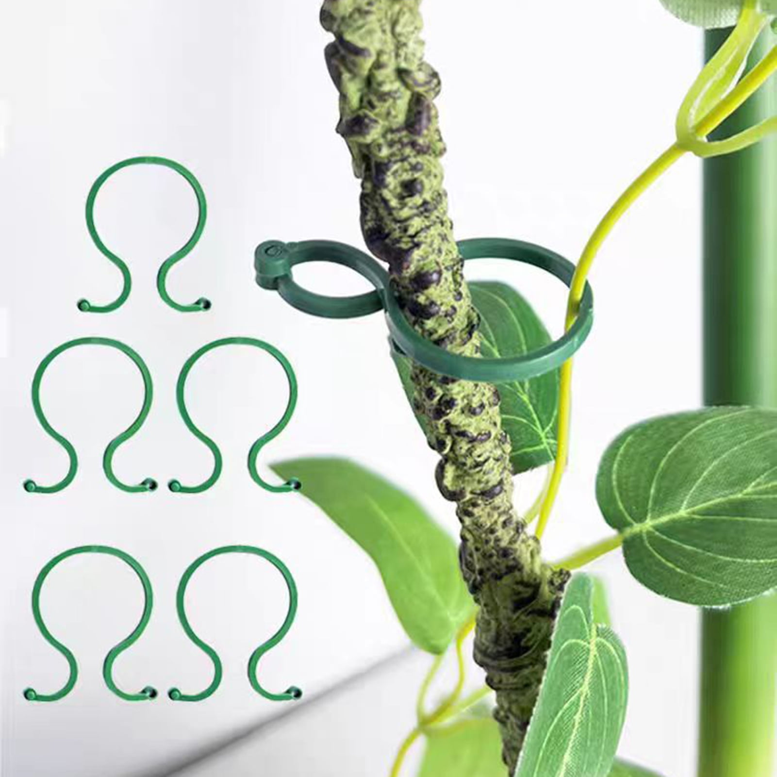 Taolixe Plant Support Clips for Climbing Plants Reusable Gentle Plant ...