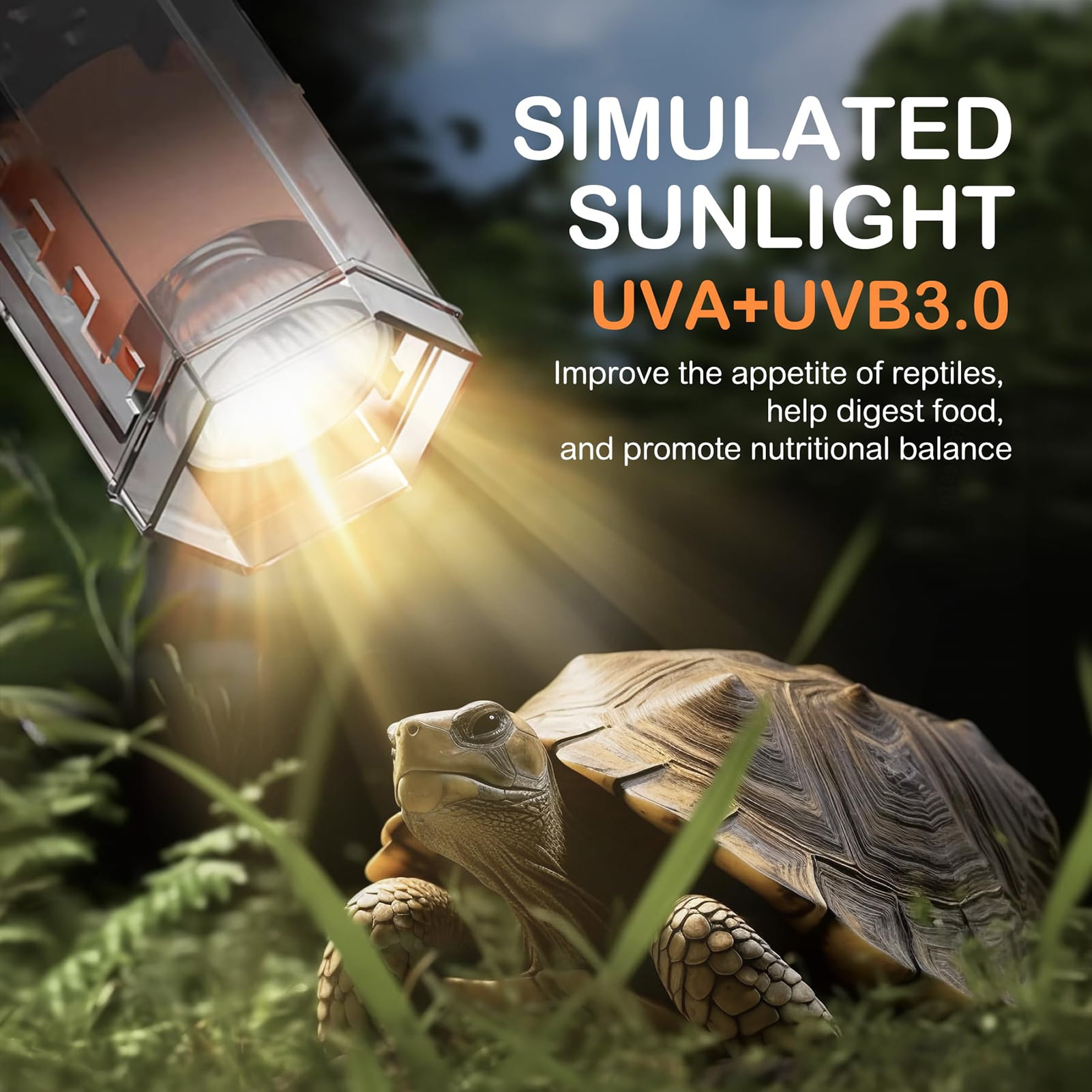 Taolixe Reptile Heat Lamp 360-degree Rotatable Arm Brightness ...