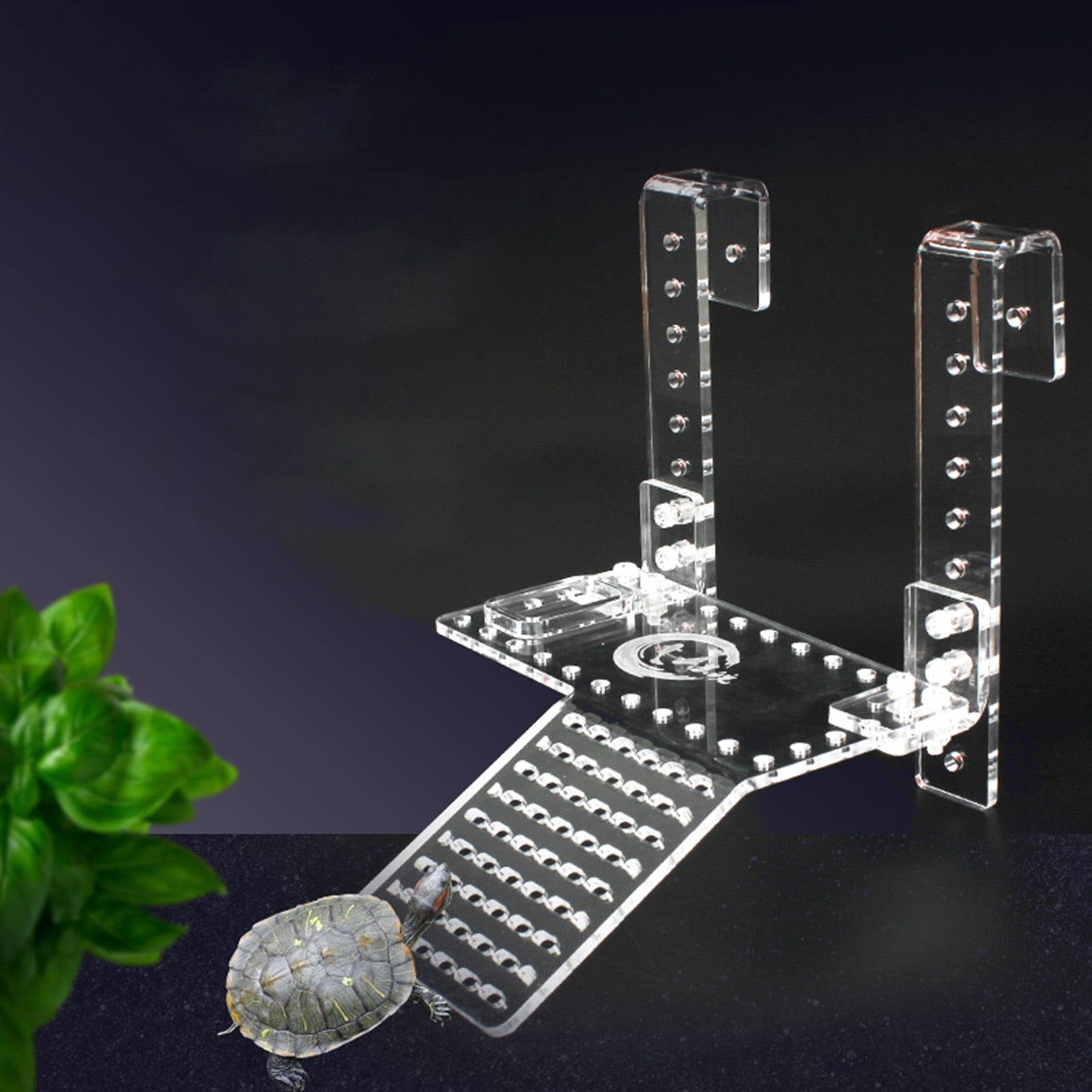 Taolixe Turtle Basking Platform Climbing Ladder Terrarium Landscaping