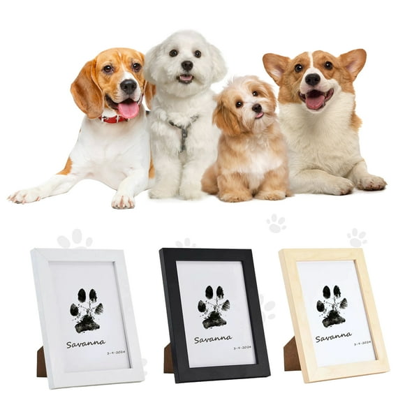 Pet Paw Print Impression Kit