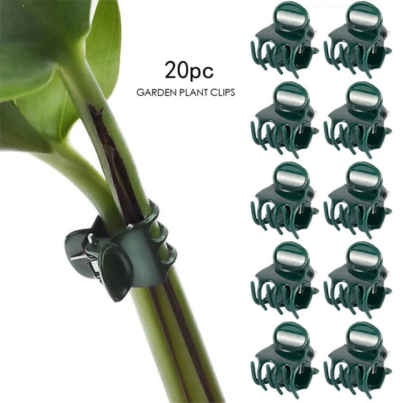 Orchid Clips