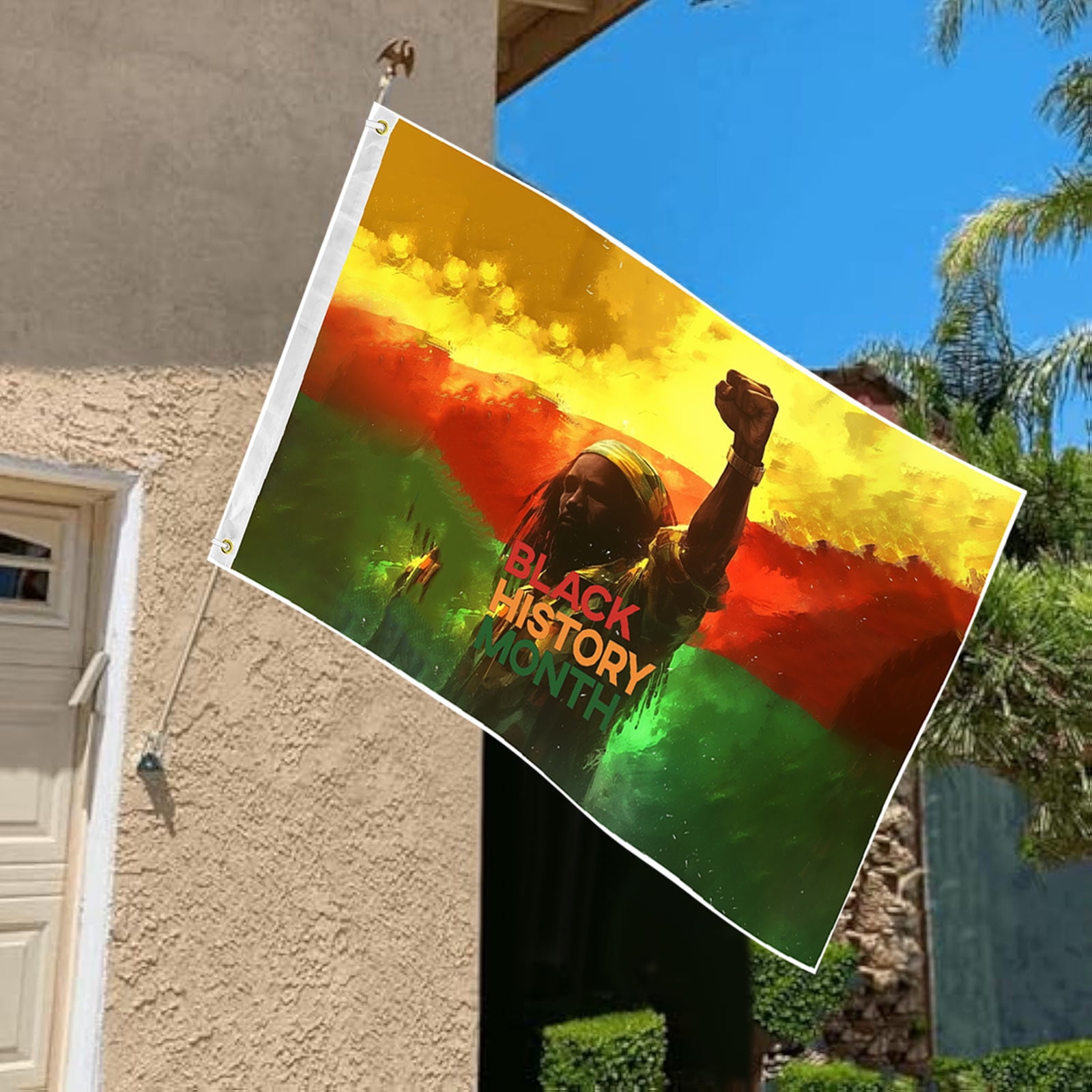Taotanxi Black History Month Afro American Country Flag 3X5 Ft Flags ...