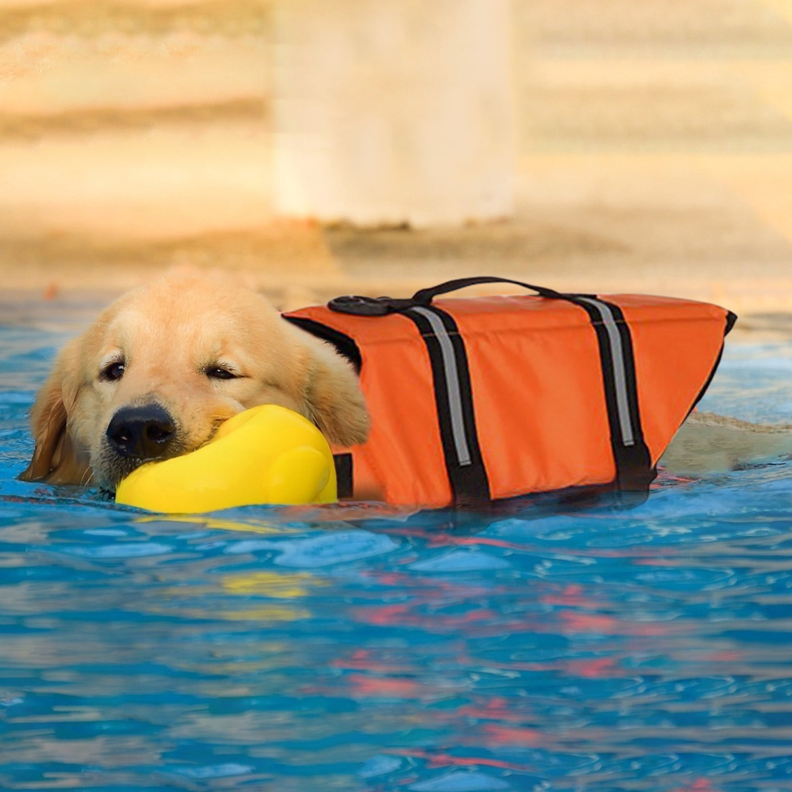 Taotanxi Dog Life Jacket, Wings Dog Life Vest With Chin Float Rescue ...