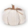 Taotanxi Fall Mini Crochet Pumpkins Seasonal Knit Decorative Pumpkins ...