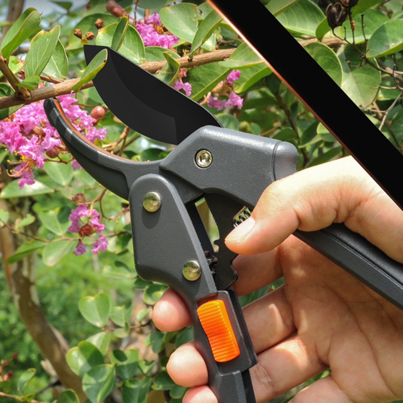 Taotanxi Garden Shears Set, 1 Piece Of Pruning Shears for Gardening, 8. ...