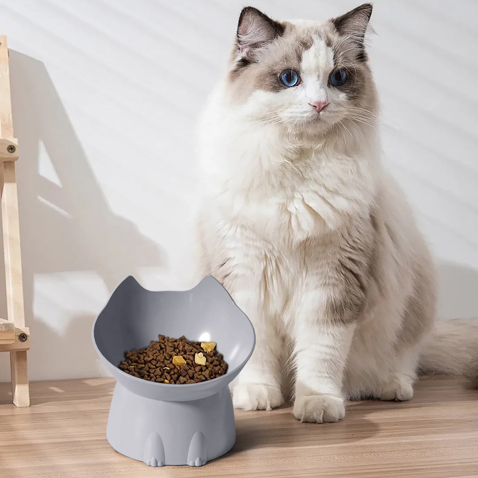 Taotanxi Plastic Raised Bowl Tilted 15 Degrees Elevated Cat Food and ...