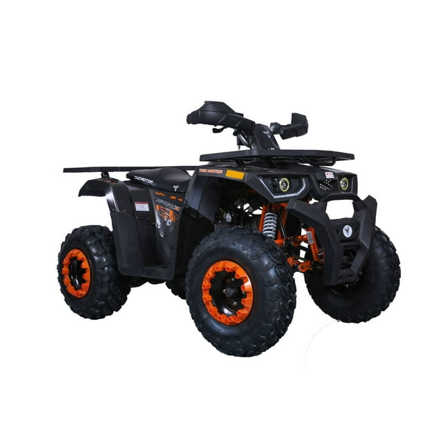 Tao Tao Raptor 200 169 cc ATV - Walmart.com