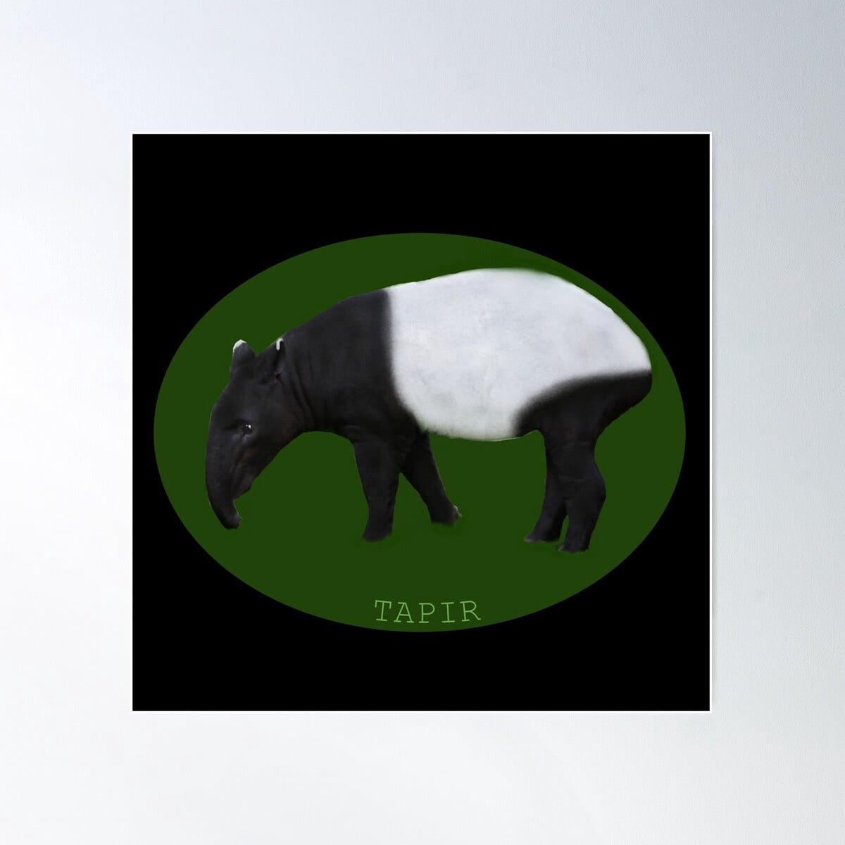 Tapir Poster Wall Art, Modern Wall Decor For Living Room Bedroom, 24x24 ...