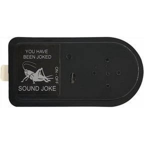 AnnoyingPCB Classic | Prank Gag Gift | 3-Year Battery | Assembled in ...