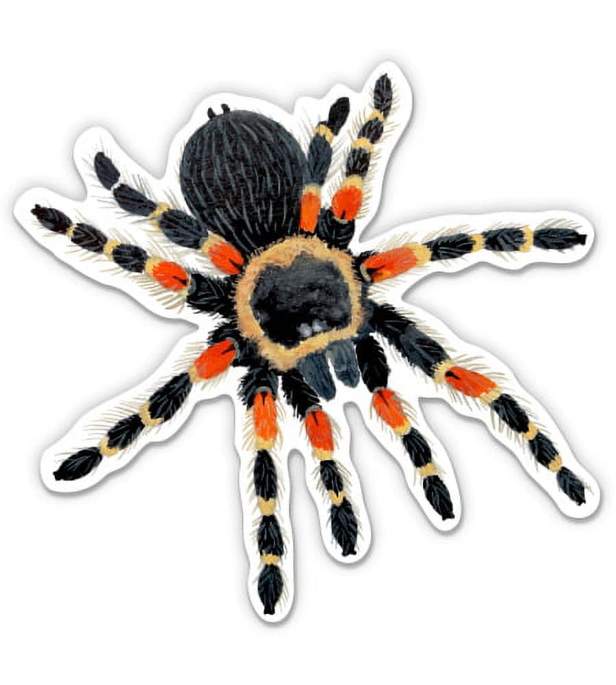 Tarantula - 5" Vinyl Sticker - For Car Laptop I-Pad - Waterproof Decal ...
