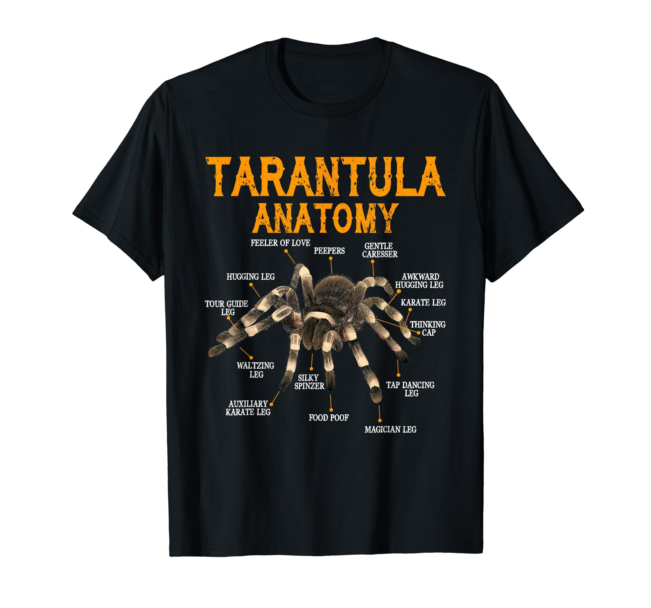 Tarantula Anatomy - Spider Lover - Animals Pets Lover T-Shirt - Walmart.com