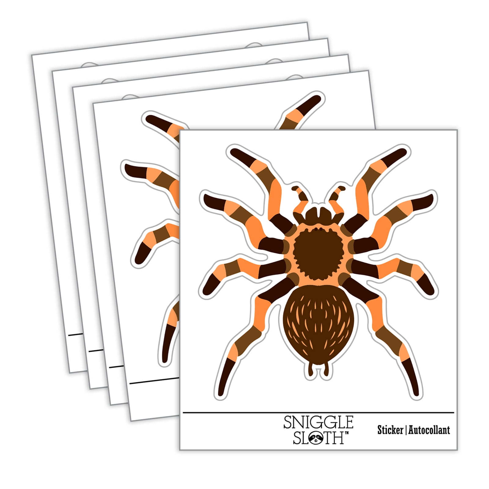 Tarantula Spider Arachnid Bug Car Window Bumper Water Bottle Phone ...