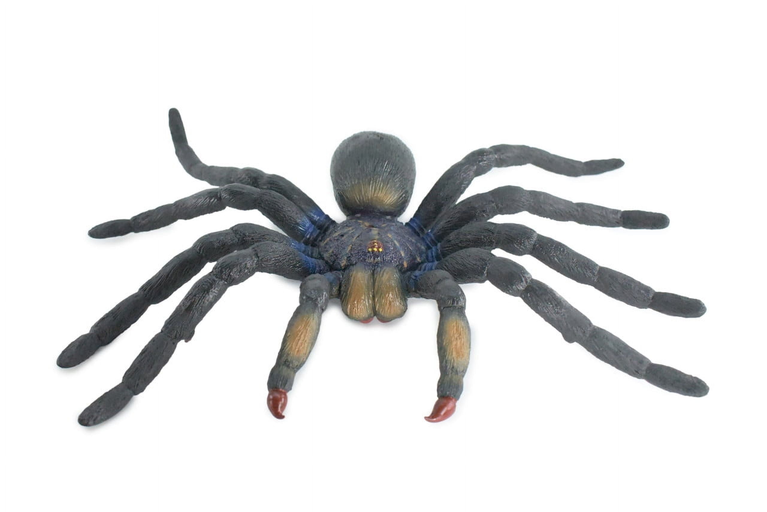 Tarantula Spider Toy, Jumbo, Hand Painted, High Quality, Hard Rubber ...