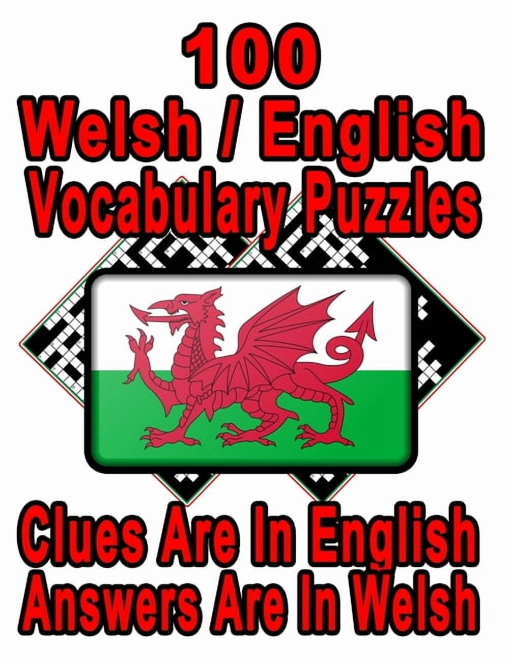 On Target Puzzles: 100 Welsh/English Vocabulary Puzzles: Learn and ...