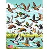 Target Vendor Duck Shot Paper Shooting Fun Targets Full Color 17” x 23 ...