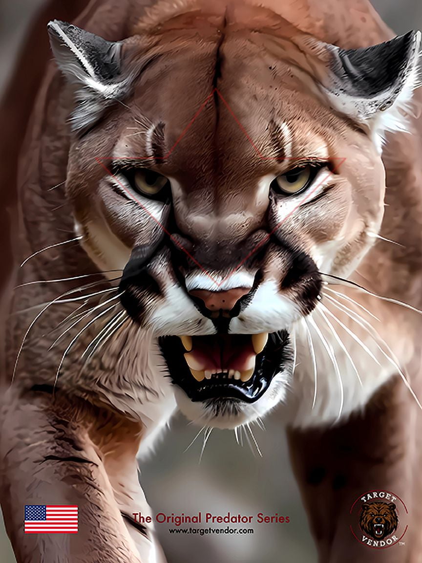 Target Vendor Mountain Lion Paper Shooting Targets Full Color 18‚Äù x ...