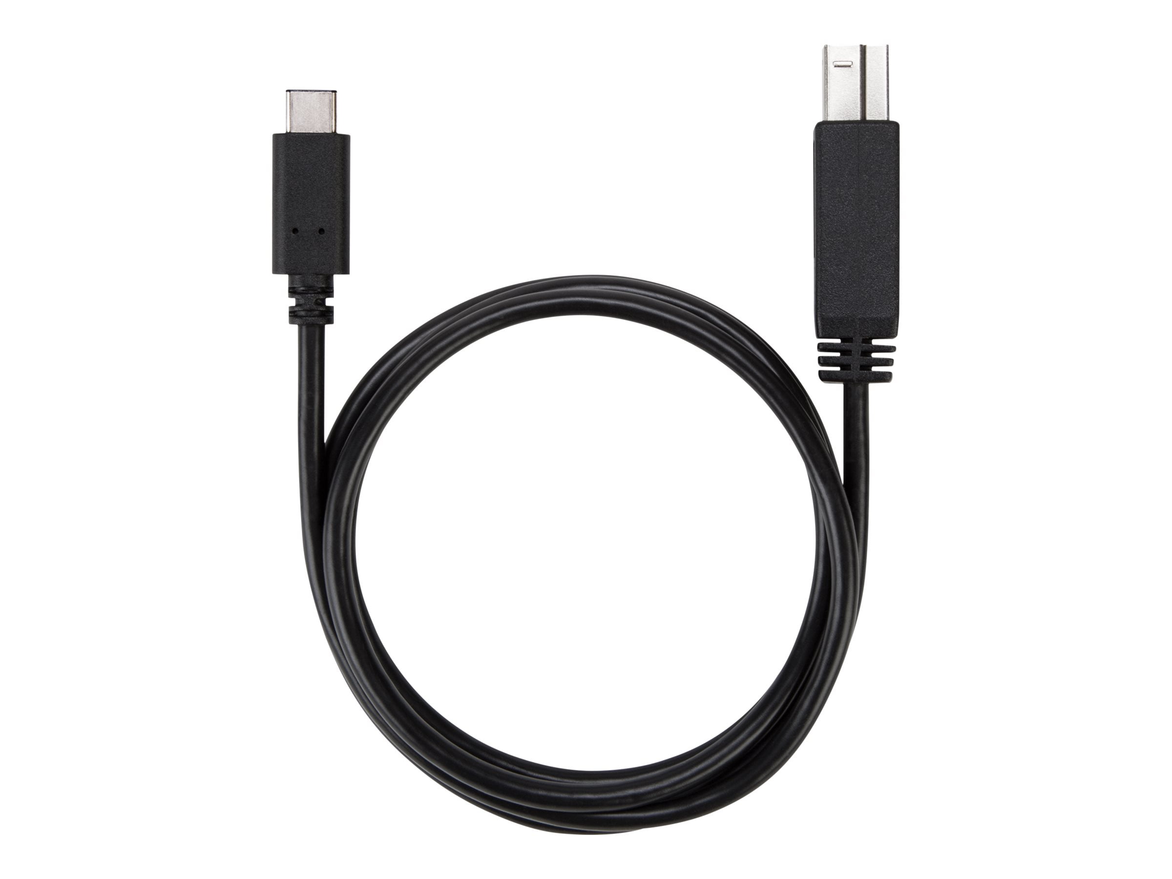 Targus 1-Meter USB-C to USB-B 5Gbps Cable - ACC924USX - Walmart.com