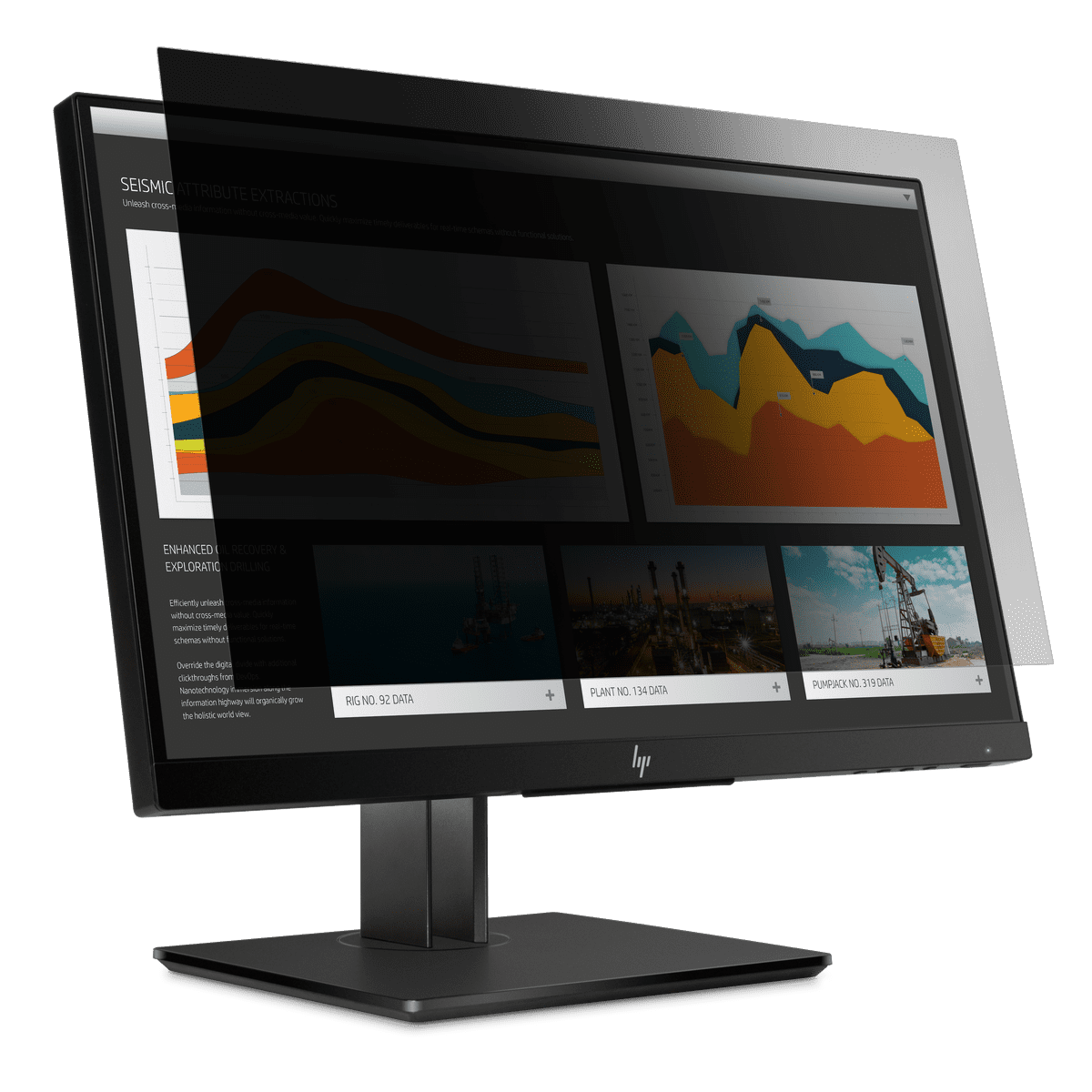 Targus 4Vu Privacy Screen for HP EliteDisplay E223 and HP Z22n G2 ...