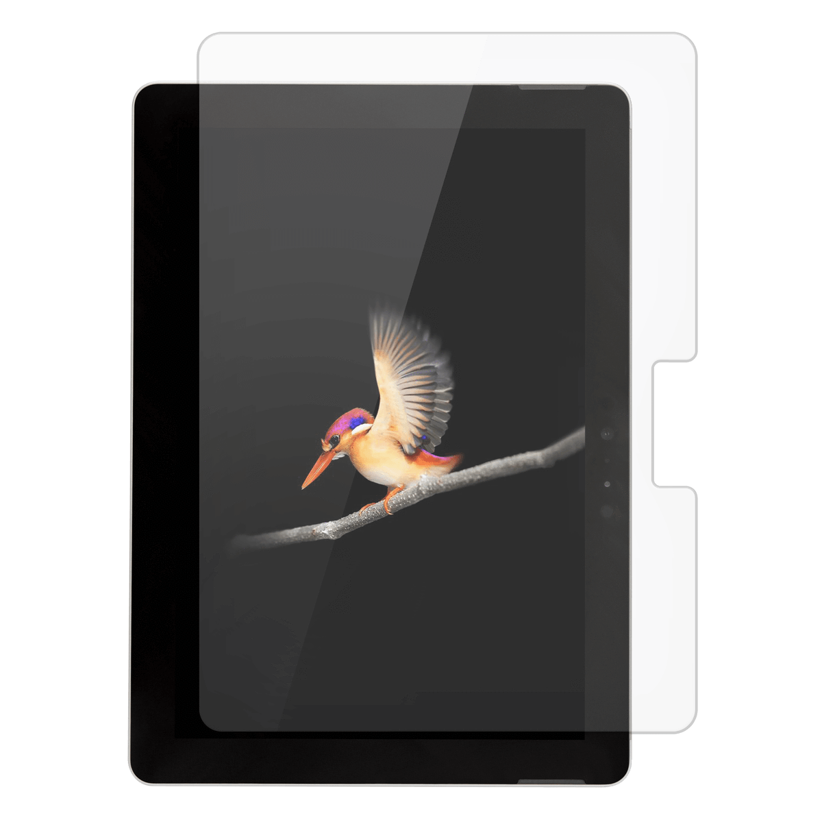 Targus Scratch-Resistant Screen Protector for Microsoft Surface™ Go ...