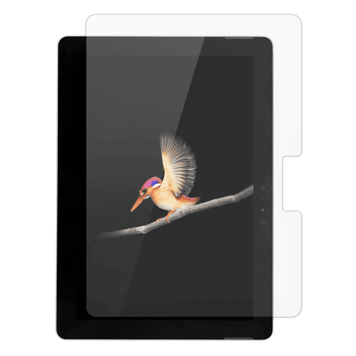 Targus Tempered Glass Screen Protector for Microsoft Surface Go ...