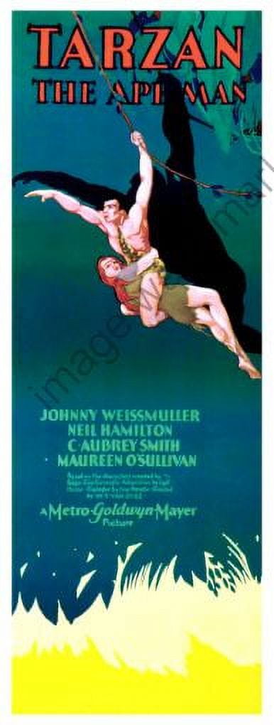 Tarzan Movie Poster Insert 14inx36in Unframed, Age: Adults, Rectangle ...