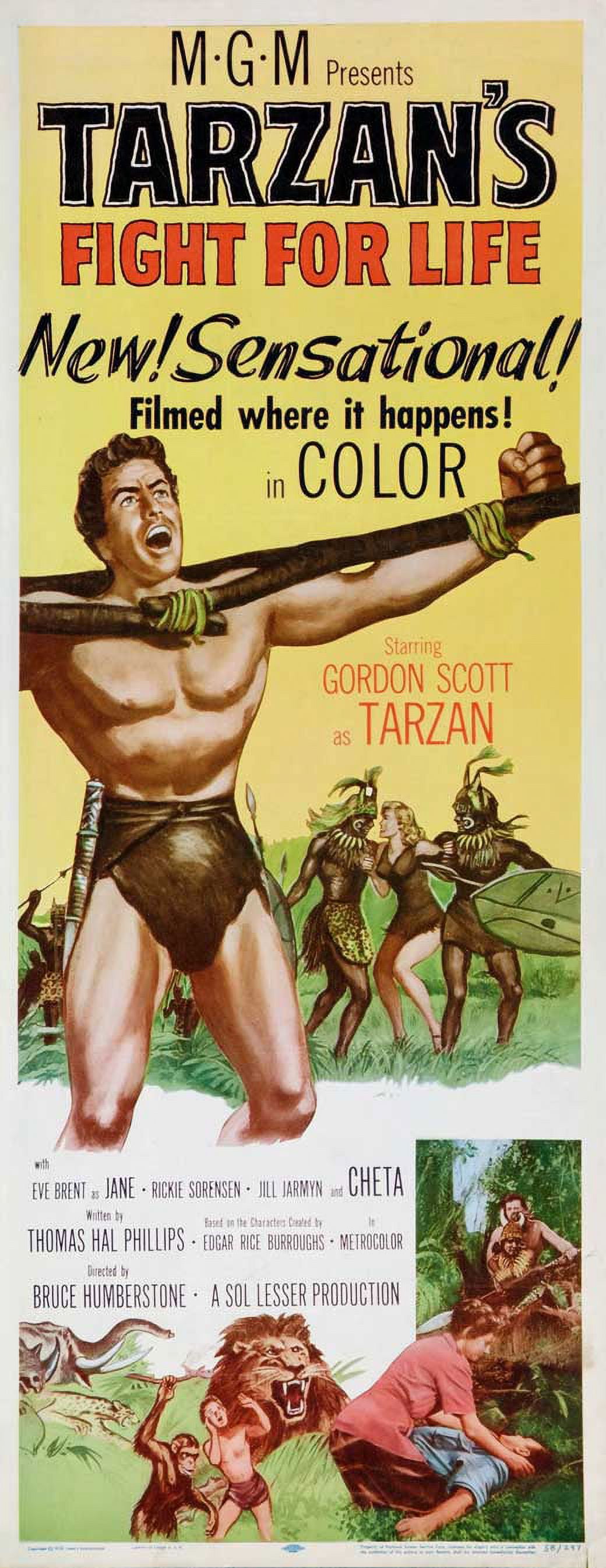 Tarzan's Fight for Life - movie POSTER (Insert Style A) (14" x 36 ...
